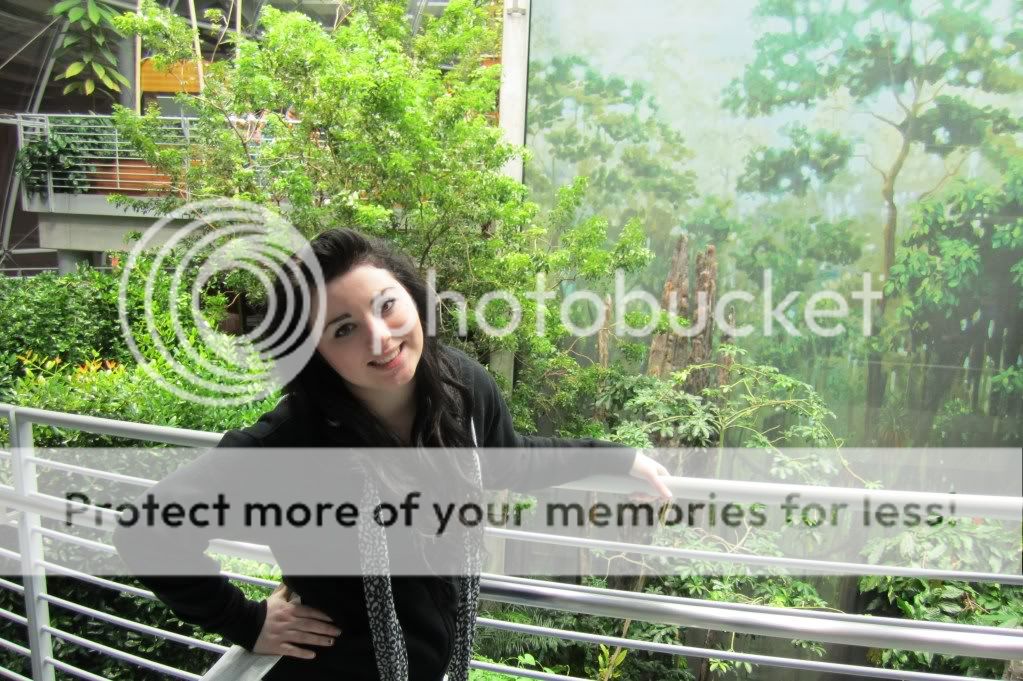 Darwin's Bark Spider builds world's biggest web - FlyTrapCare Forums